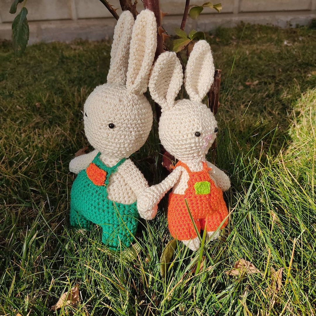 Little Hazelnut The Rabbit Amigurumi Free Pattern – Amigurumi